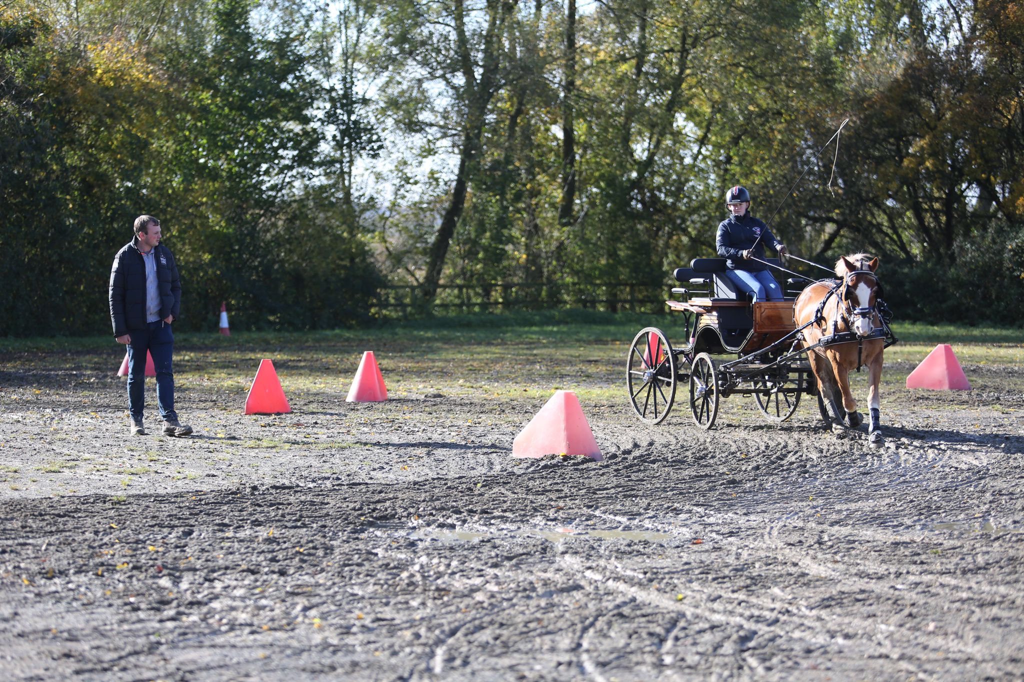 Scottish Carriage Driving Association – Welcome to the home of carriage ...